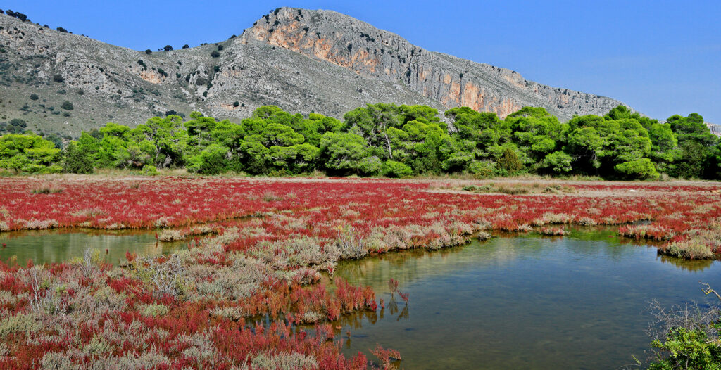 Why "Pelargos NATURA" - Pelargos Natura